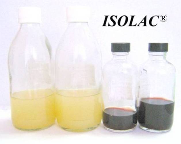 Index of /images